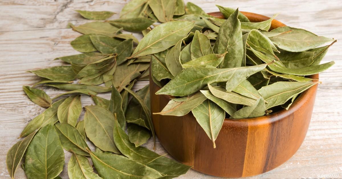 ما فوائد ورق الغار للطبخ؟ | سوبر ماما